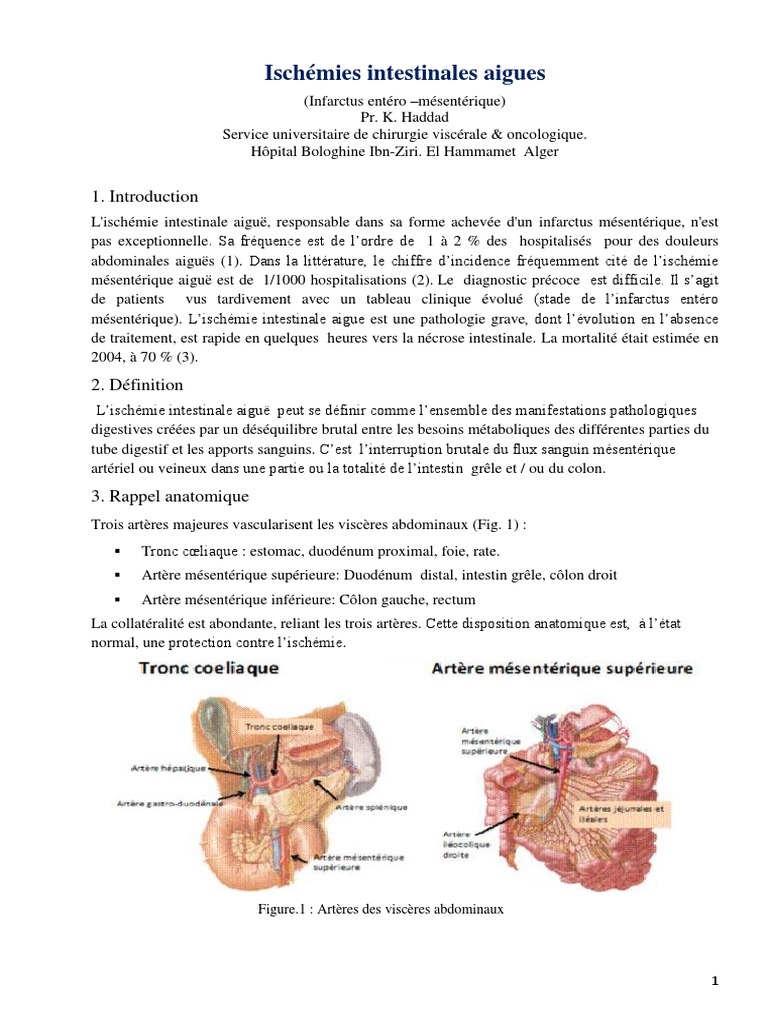 Ischémie Intestinale Aiguë et Infarctus | PDF | Vaisseau sanguin ...