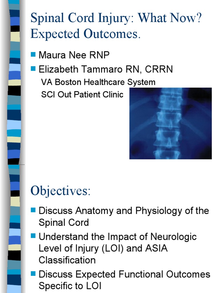 Sci Functional Outcomes | PDF | Vertebral Column | Musculoskeletal System