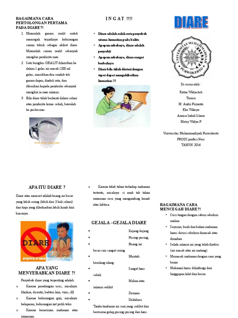 Leaflet Diare | PDF
