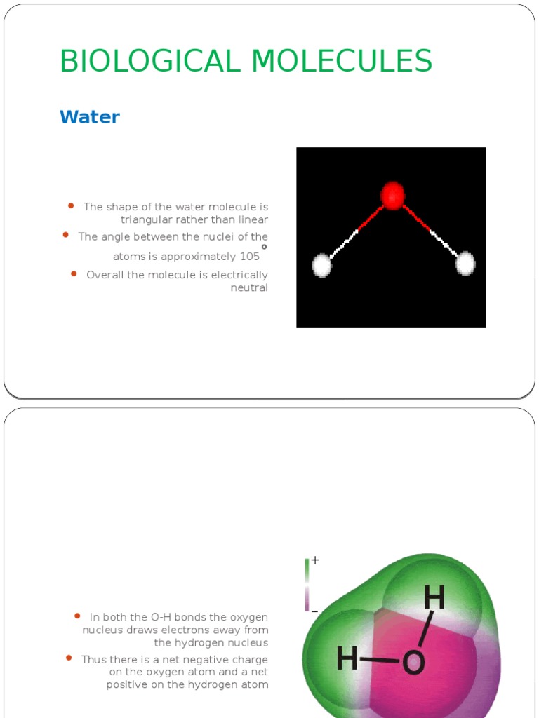 Biological Molecules: Water | PDF | Glucose | Properties Of Water