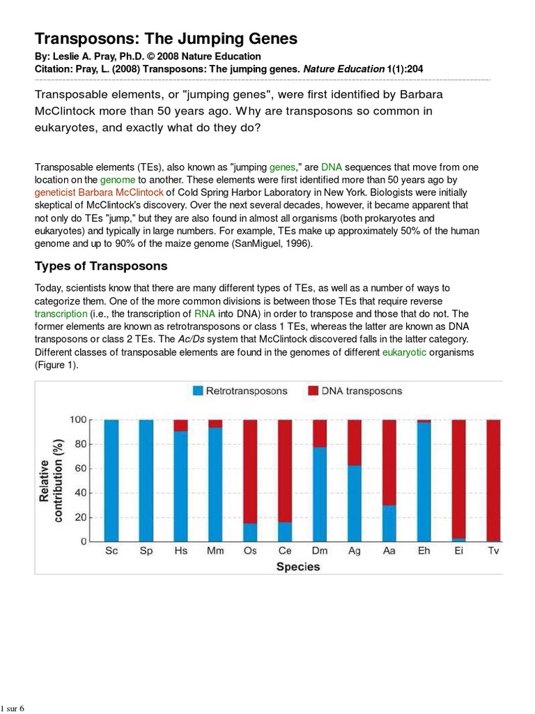 Transposons The Jumping Genes | PDF | Transposable Element | Gene Silencing