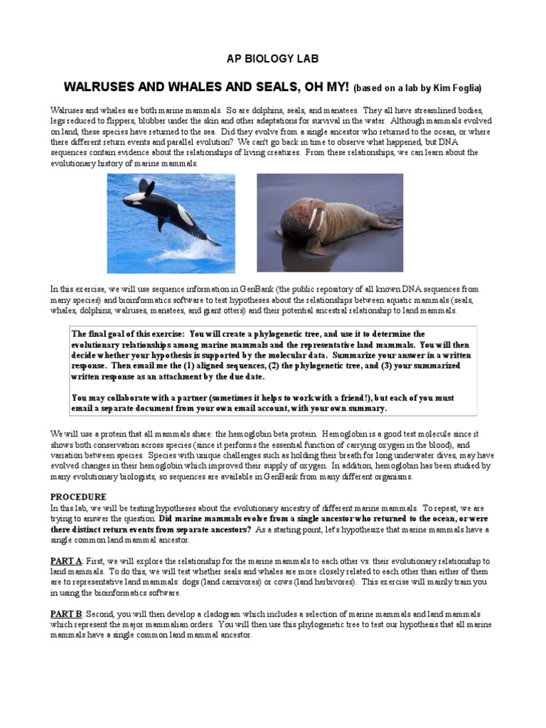 Phylogenetic Tree Lab (FASTA) | PDF | Mammals | Marine Mammals