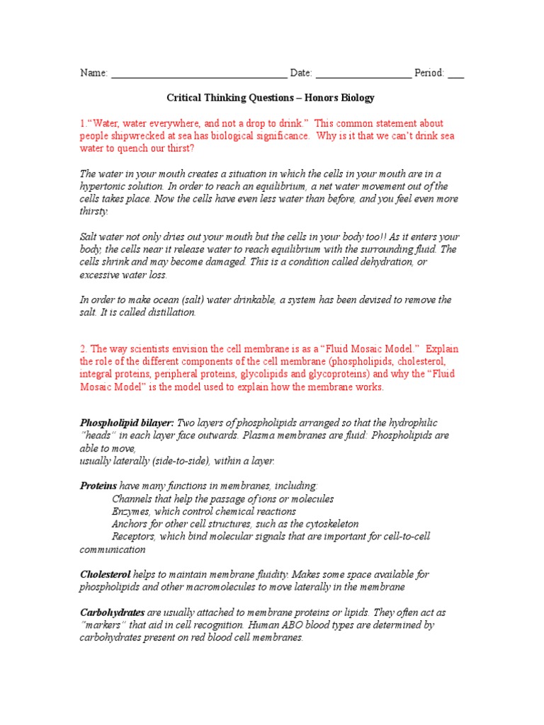 Honors Biology Critical Thinking Questions and Answers Chapter 5 | PDF ...