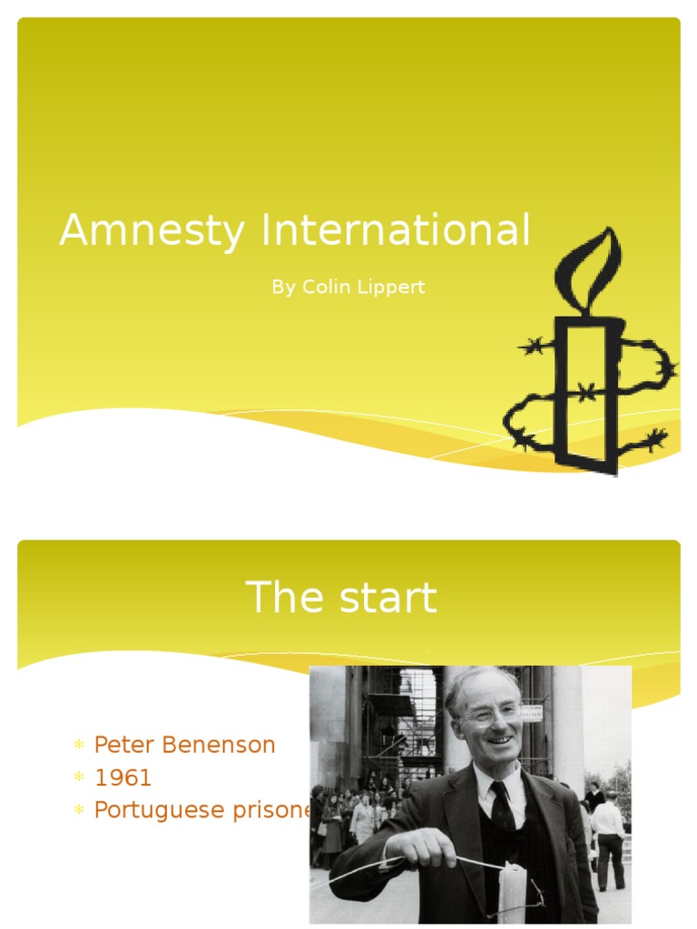 Amnesty International: by Colin Lippert | PDF