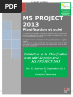 Cours Complet sur MS Project 2019 | PDF