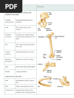 Bone Markings Guide | PDF
