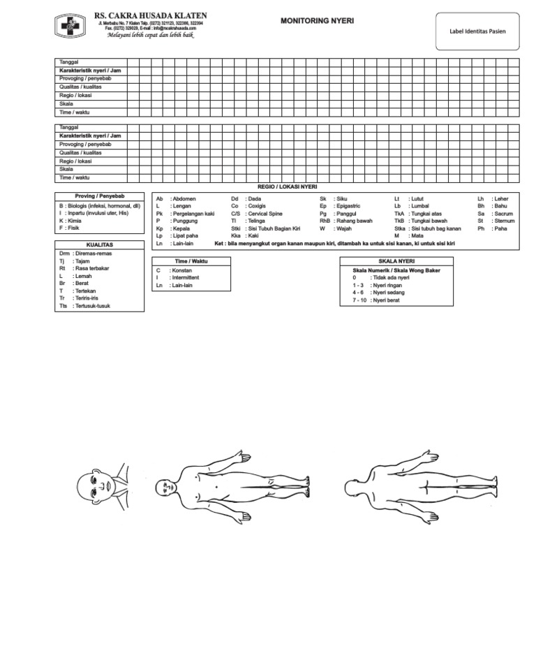 Monitoring Nyeri | PDF