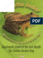 Care Sheet - Asian Leaf Turtle (Cyclemys Dentata) | PDF | Nature