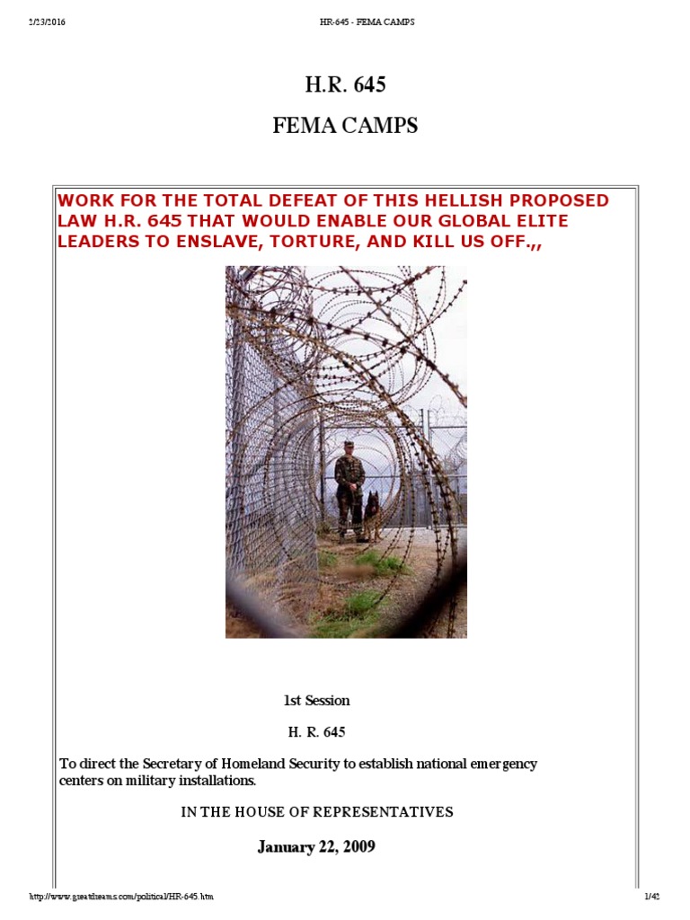 Overview of H.R. 645 FEMA Camps | PDF | U.S. Immigration And Customs ...