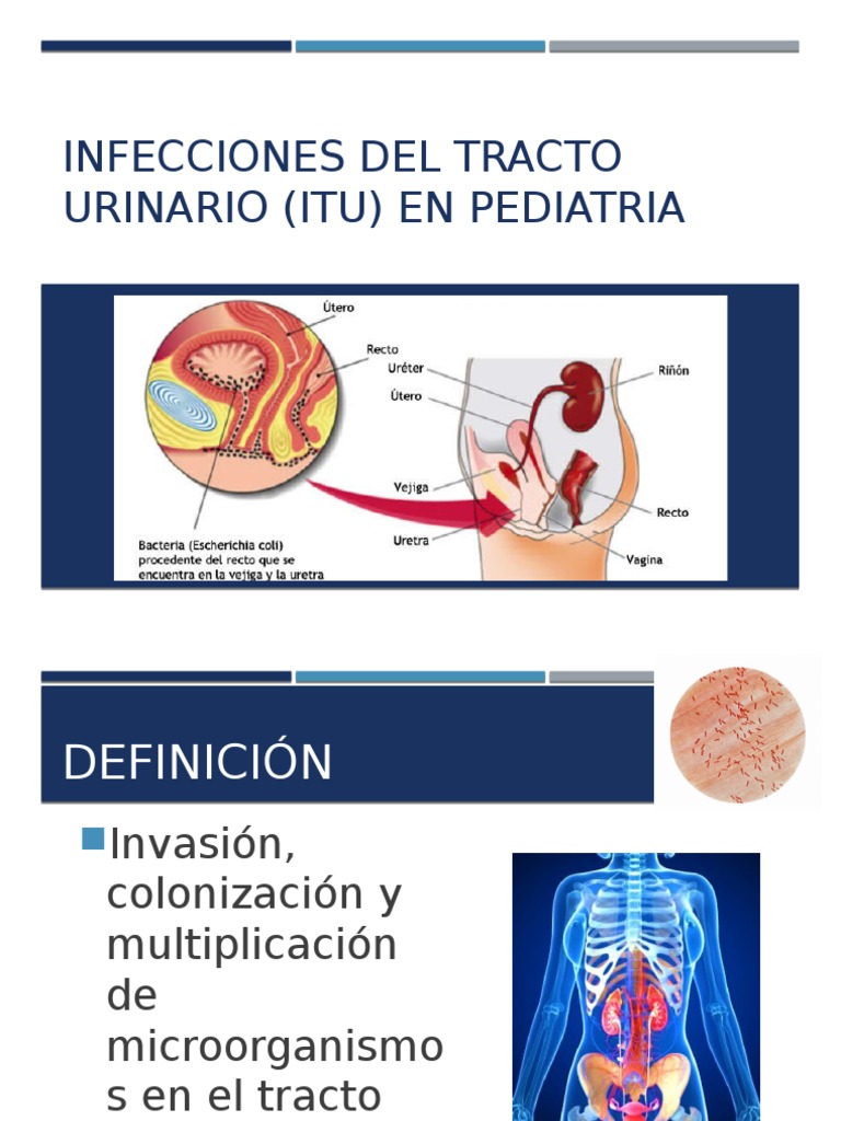 ITU en Pediatria | Infección del tracto urinario | Salud pública ...