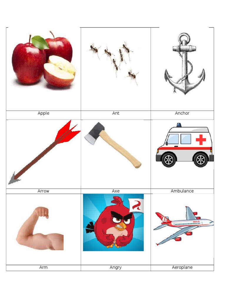 Apple Ant Anchor | PDF