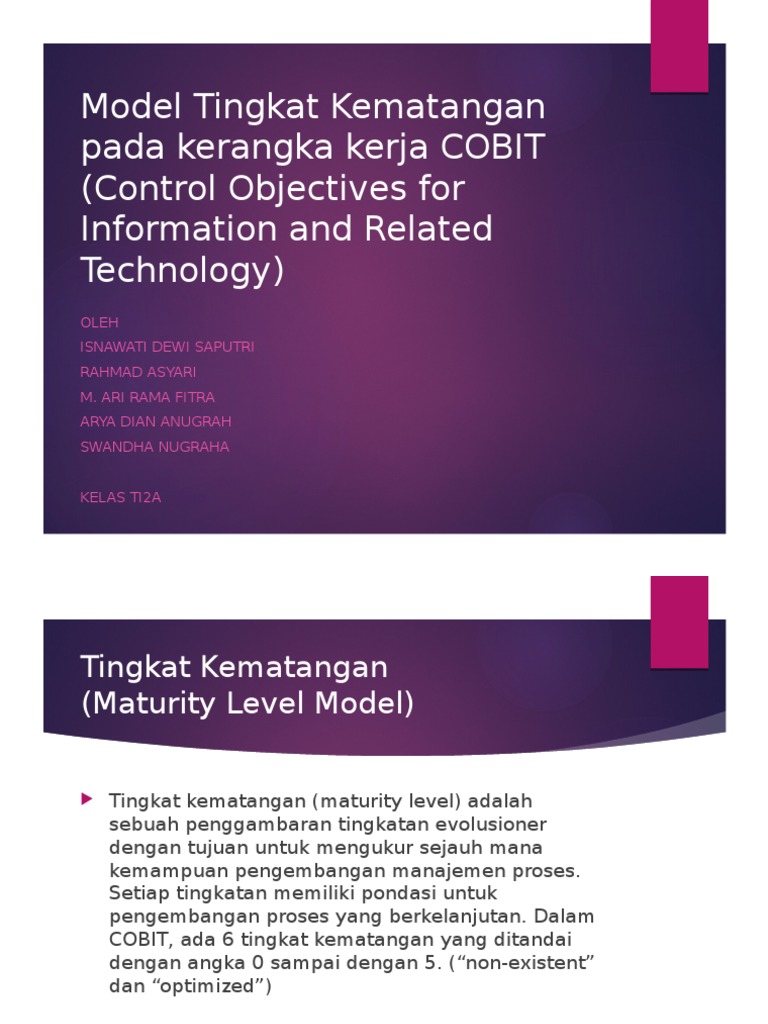 Model Tingkat Kematangan Atau Maturity Level | PDF