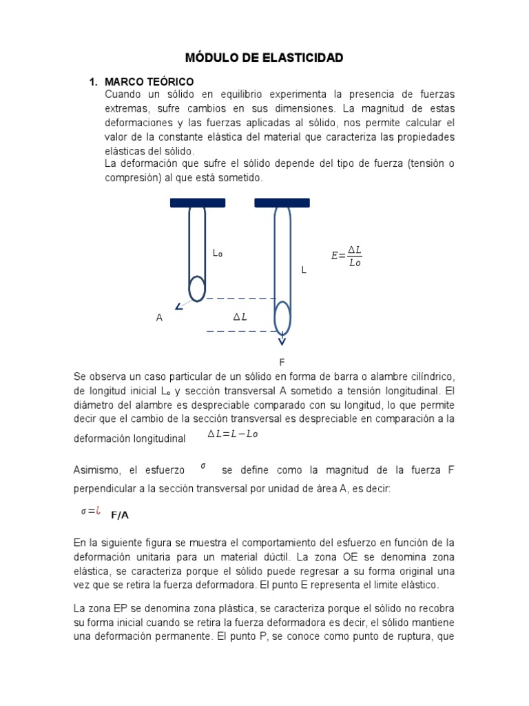 INFORME 1 Modulo de Elasticidad 2 | Elasticidad (Física) | El módulo de ...