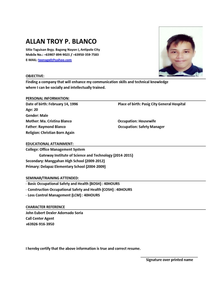 Example of CV Allan Troy PDF | PDF