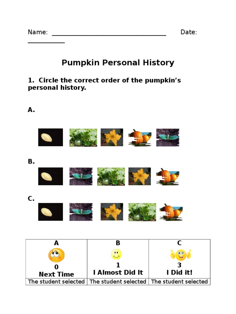 Social Studies Differentiated Assessment | PDF