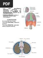 Términos de Relación, Comparación y Lateralidad de Anatomía | PDF ...