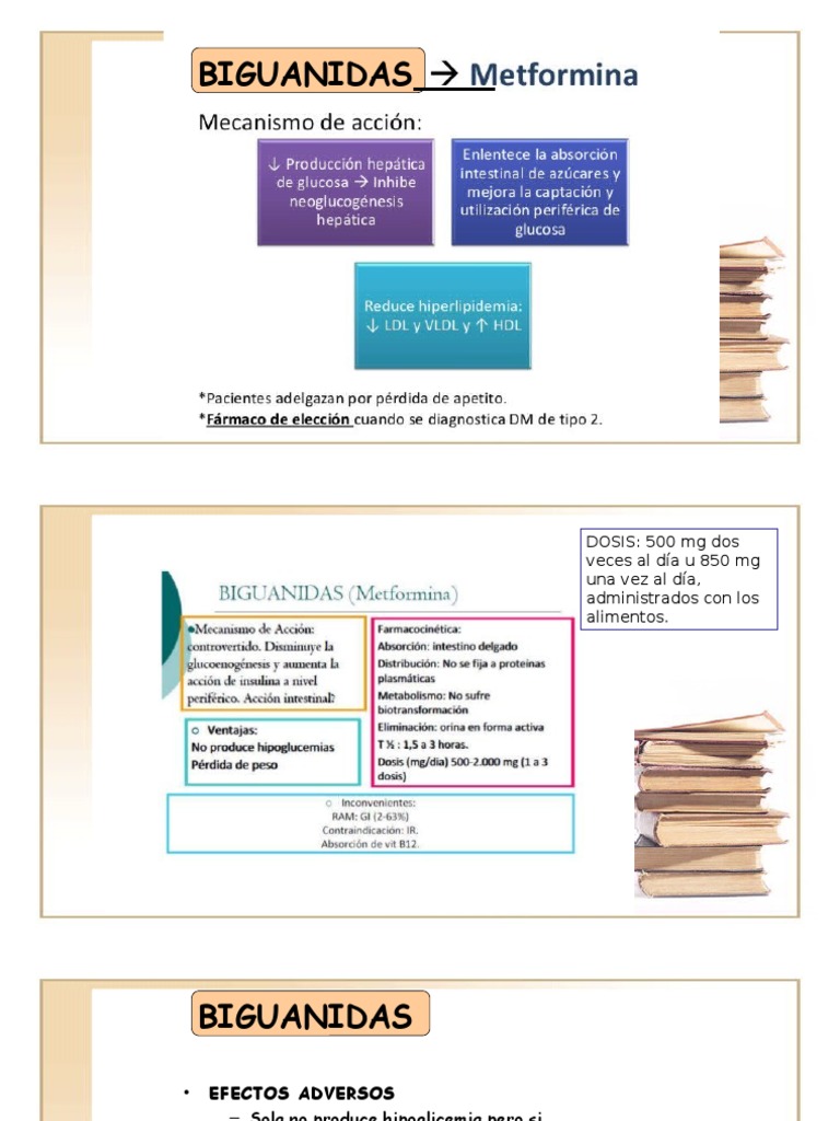 BIGUANIDAS Sulfoniureas | PDF | Drogas | Especialidades Medicas