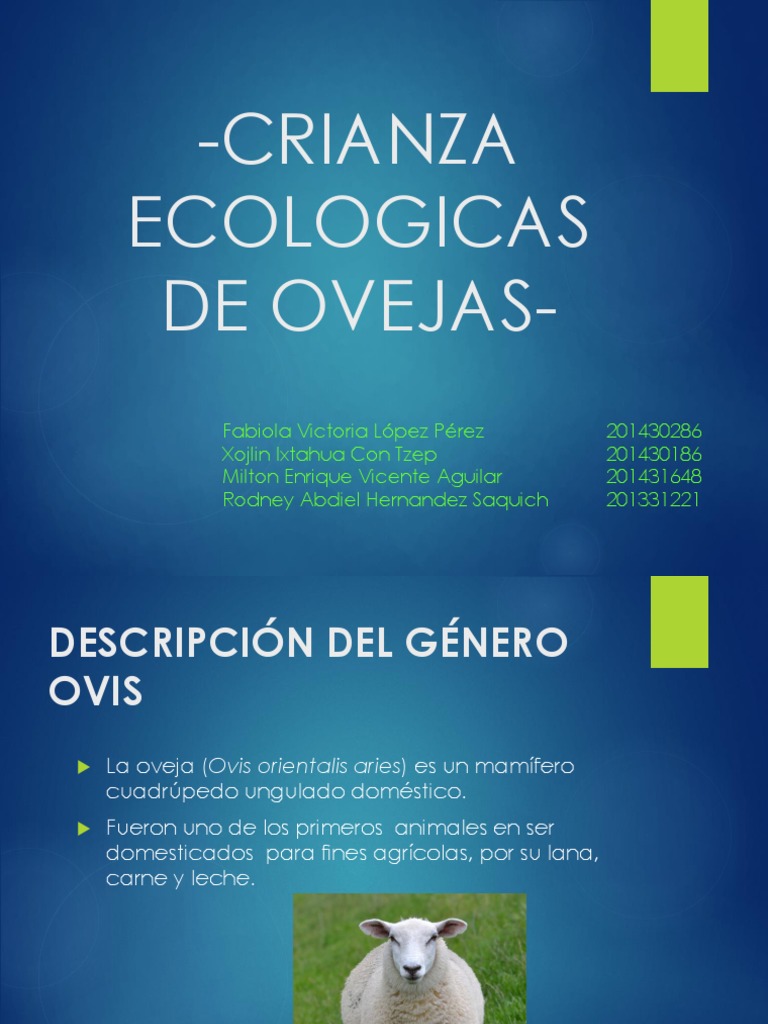 FICHA INFORMATIVA El Ciclo de Vida de Las Ovejas IMPRIMIBLE ANIMAL ...