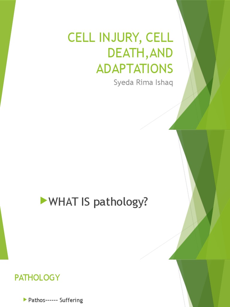 Cell Injury, Cell Death, and Adaptations 13-2-15 | PDF | Atrophy ...