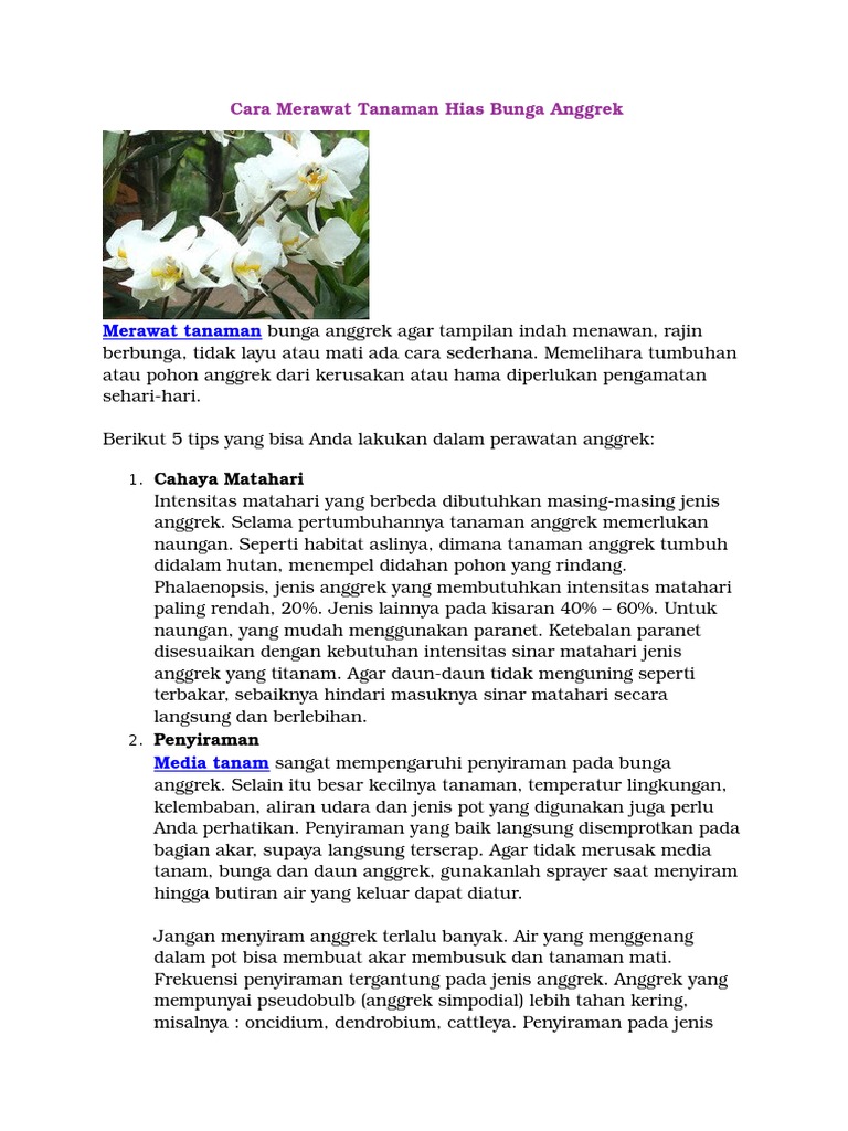 Cara Merawat Tanaman Hias Bunga Anggrek | PDF