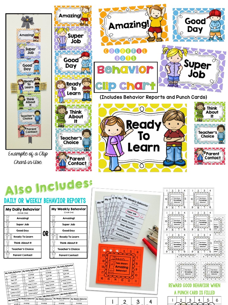 Behavior Reports & Punch Card Examples | PDF