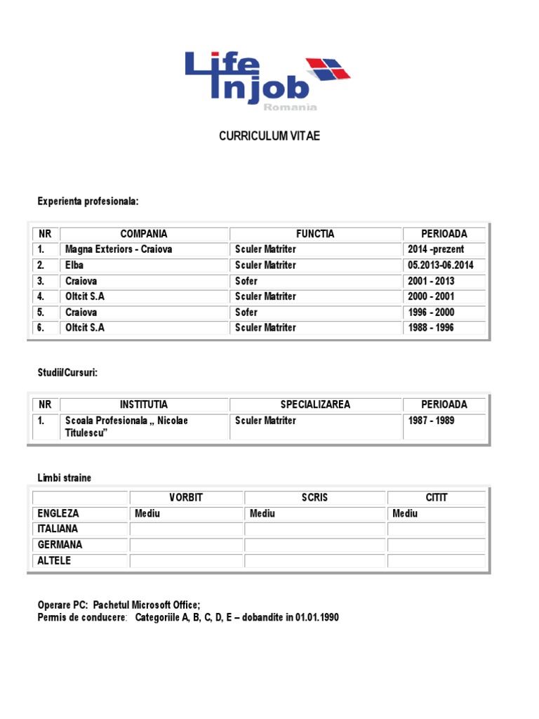 CV - Sculer Matriter | PDF | Career & Growth | Art
