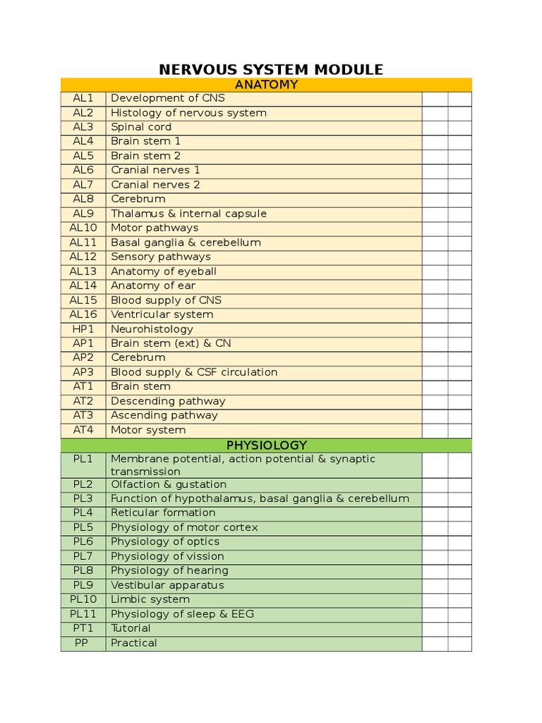 Nervous System Module: Anatomy | PDF