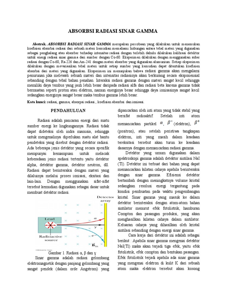 Absorbsi Radiasi Sinar Gamma | PDF