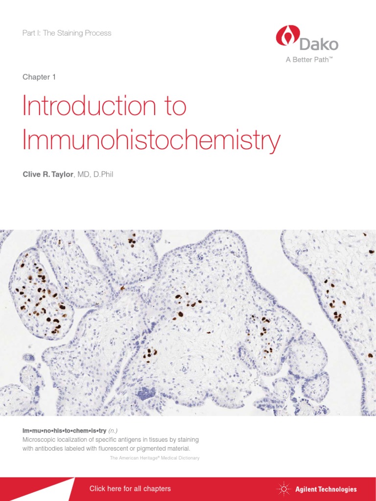 Ihc Guidebook Introduction To Immunohistochemistry Chapter1 | PDF ...