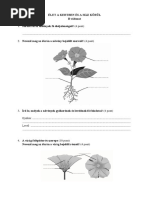 Természetismeret 5. - 01. Az Anyagok Vilaga A Témazáró | PDF