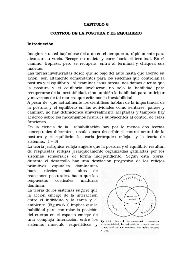 Control Motor Capitulo 6 | PDF | Músculo | Tobillo
