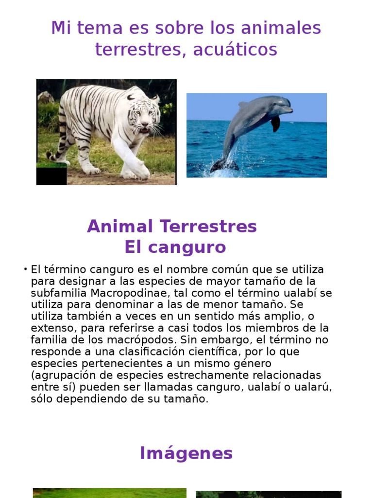 Mi Tema Es Sobre Los Animales Terrestre y acuaticos | Taxonomía Animal ...
