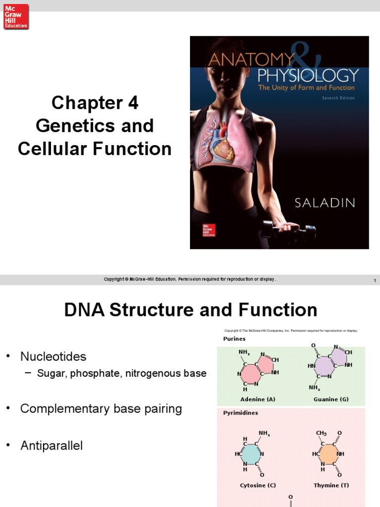 Chapter 4 - Genetics and Cellular Function | PDF | Translation (Biology ...