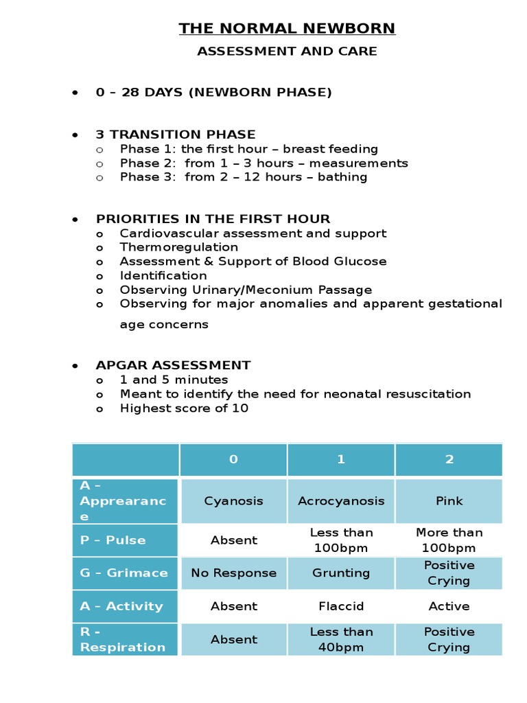 The Normal Newborn: Assessment and Care | PDF