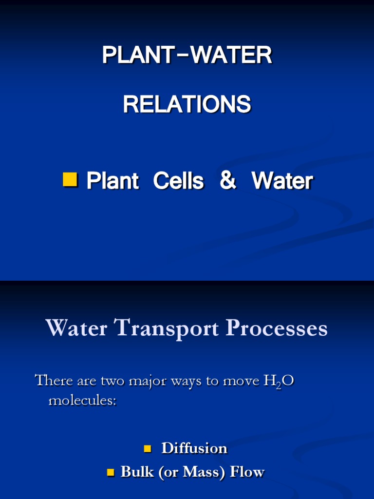 Plant-Water Relations Plant Cells & Water | PDF | Diffusion | Osmosis