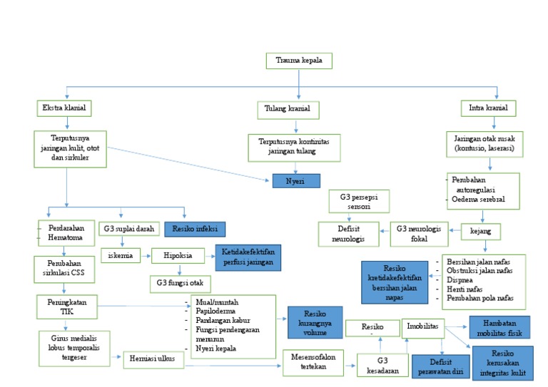 Pathway Perawatan Trauma Kepala | PDF