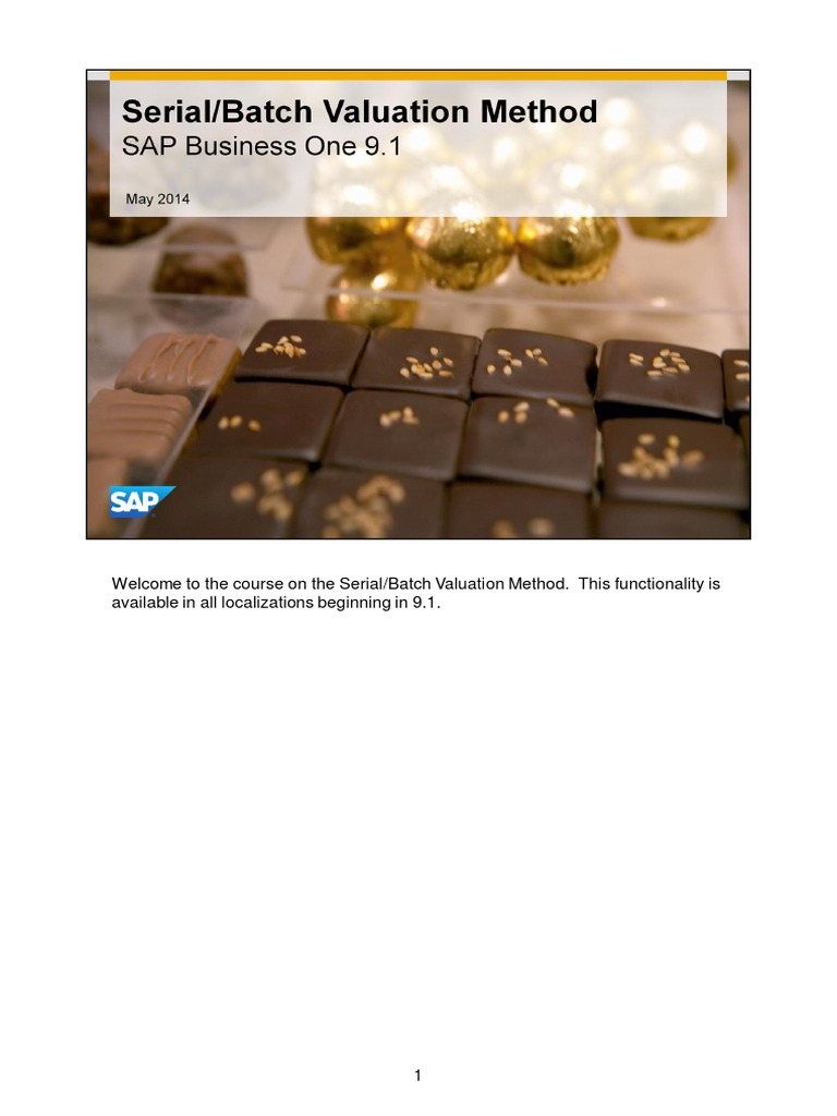 B1 91 Serial Batch | Download Free PDF | Inventory | Valuation (Finance)