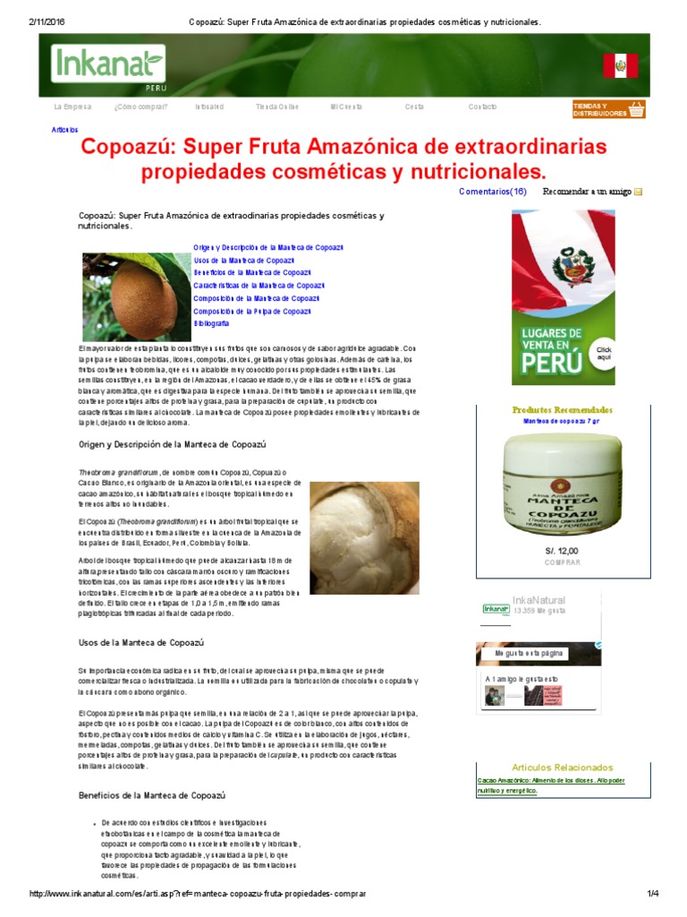 Copoazu | Descargar gratis PDF | Theobroma | Alimentos