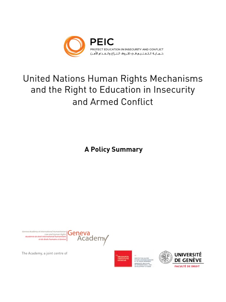 Summary Report | PDF | Human Rights | International Humanitarian Law