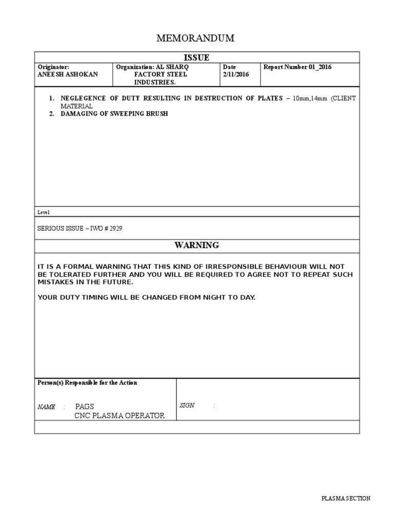 Memorandum: Issue | PDF