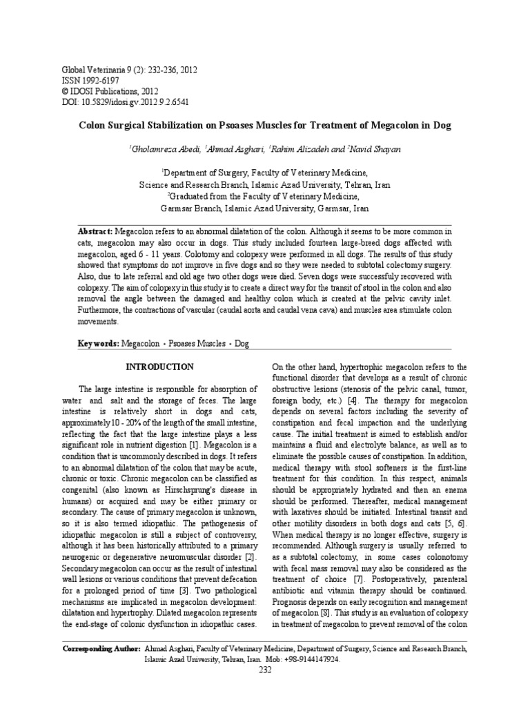 Colon Surgical Stabilization On Psoases Muscles For Treatment of ...