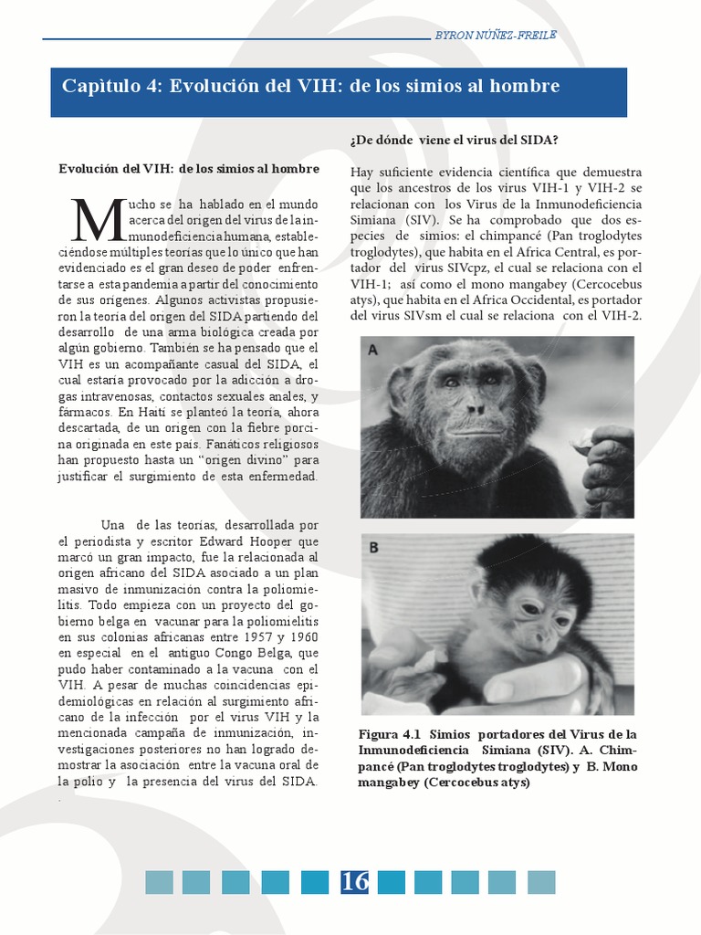 La Evolución Del VIH SIDA. de Los Simios Al Hombre. | PDF | VIH | Chimpancé