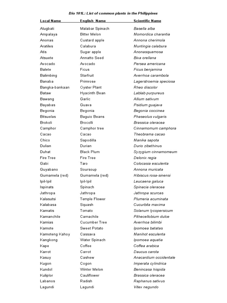 Common Plants in the Philippines | PDF | Vegetables | Botany
