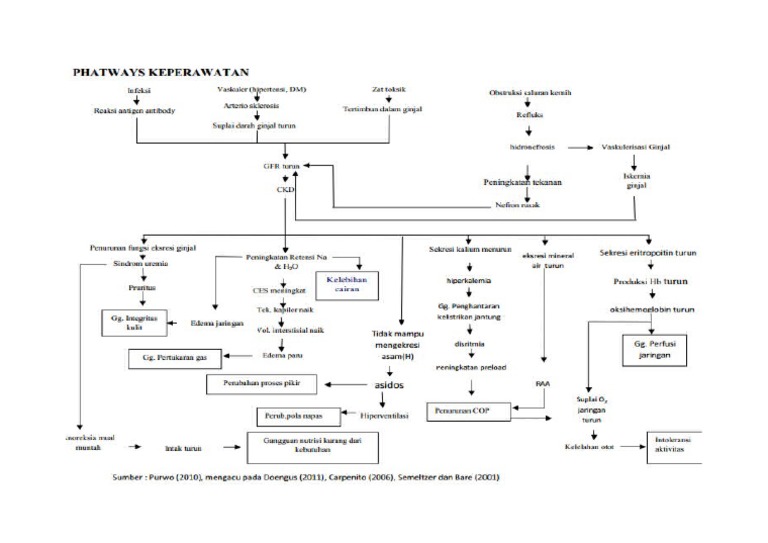 Pathway CKD | PDF