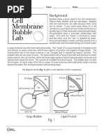 Cell Membrane Bubble Lab - : Student Analysis | PDF | Cell (Biology ...