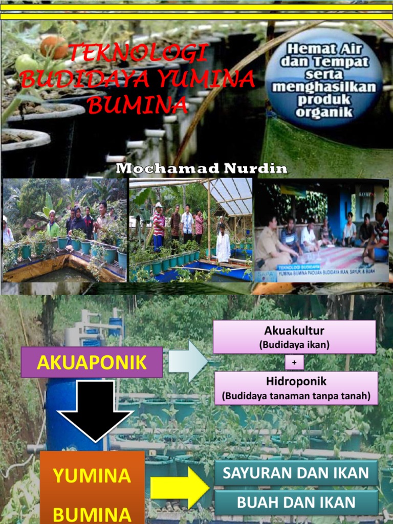 Budidaya Yumina Bumina-Vicon | PDF