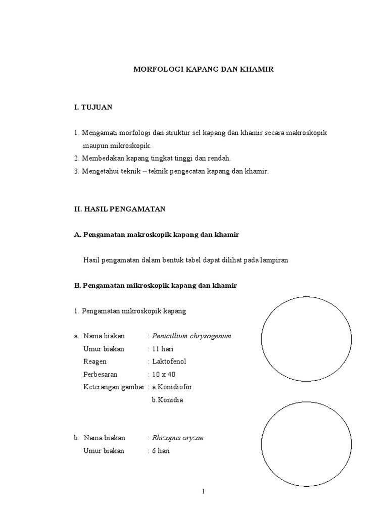 3 Morfologi Kapang Dan Khamir | PDF