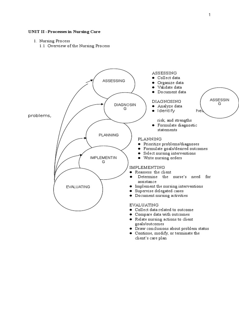 Nursing Process SOAPIE | Medical Diagnosis | Health Care