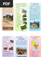 Triptico de Pasco | PDF | Alimentos | Naturaleza