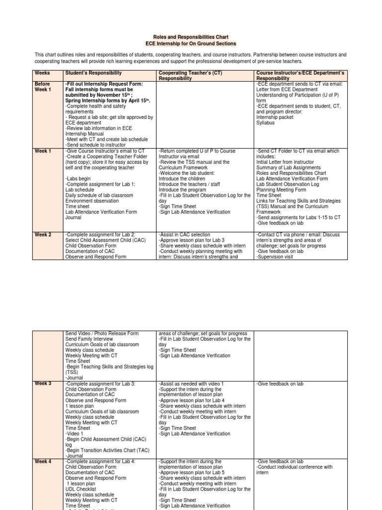 Roles and Responsibilities Chart For On Ground Internship | Download ...